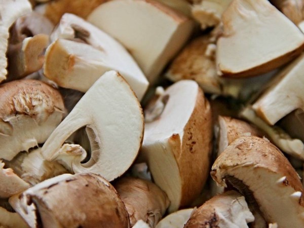 Sources Of Umami | Otao Kitchen